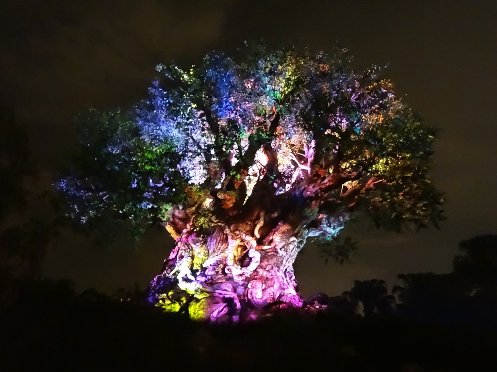 Disney’s Animal Kingdom at Night – Review and Photos – FunAndFork