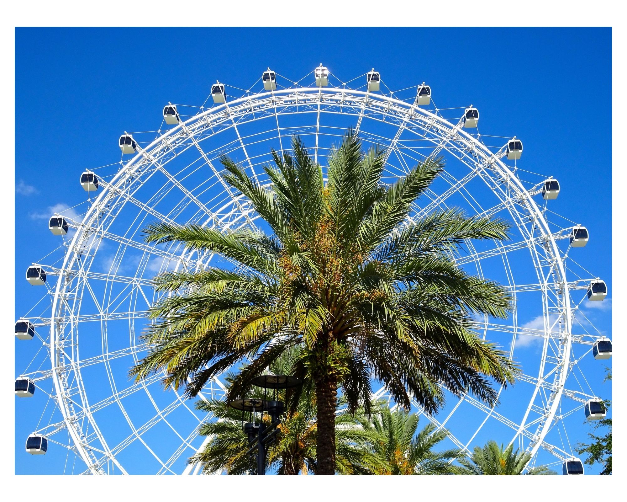 The-Iconic-Observation-Wheel – FunAndFork